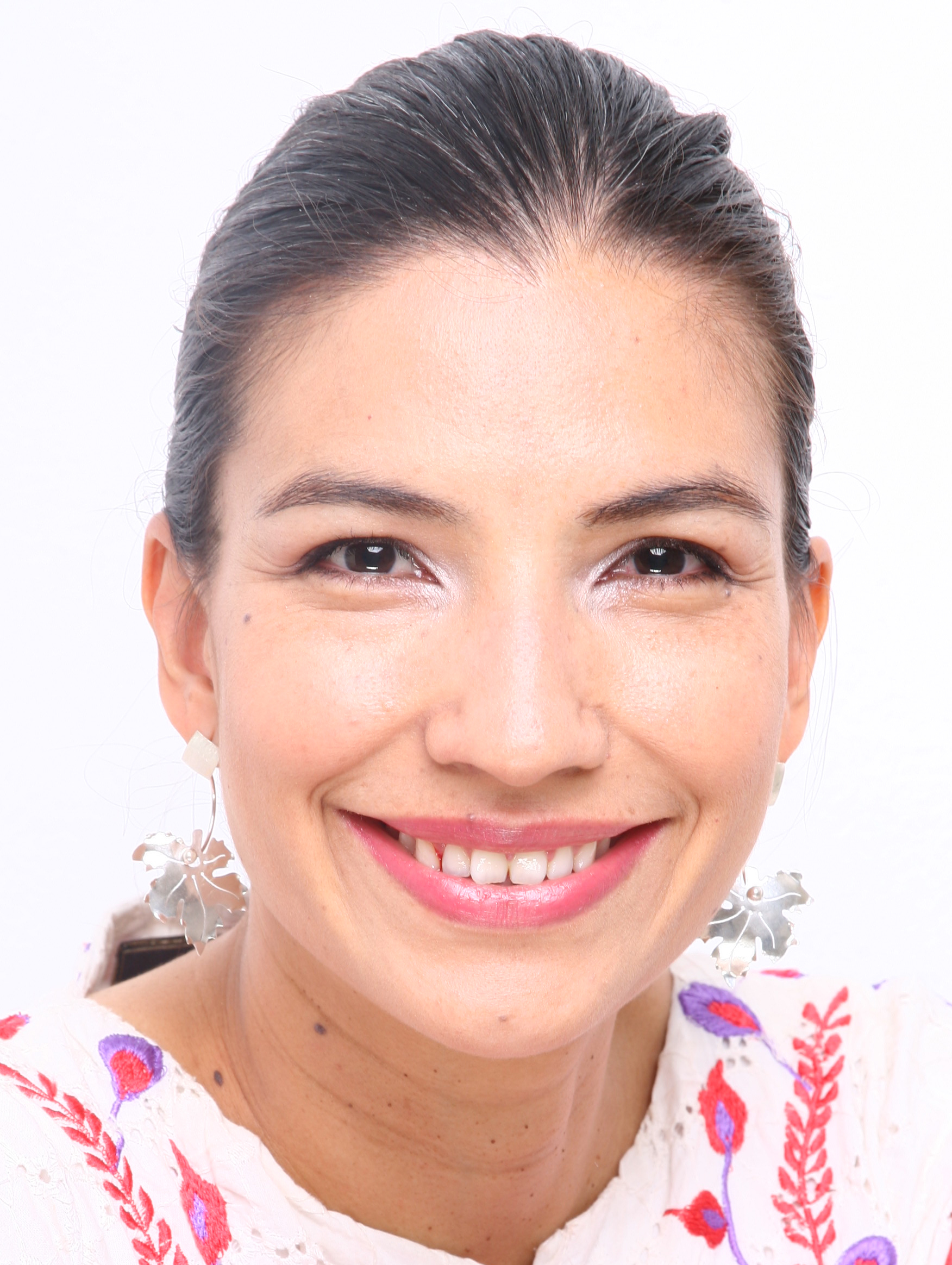 Comité Académico Practicum Script